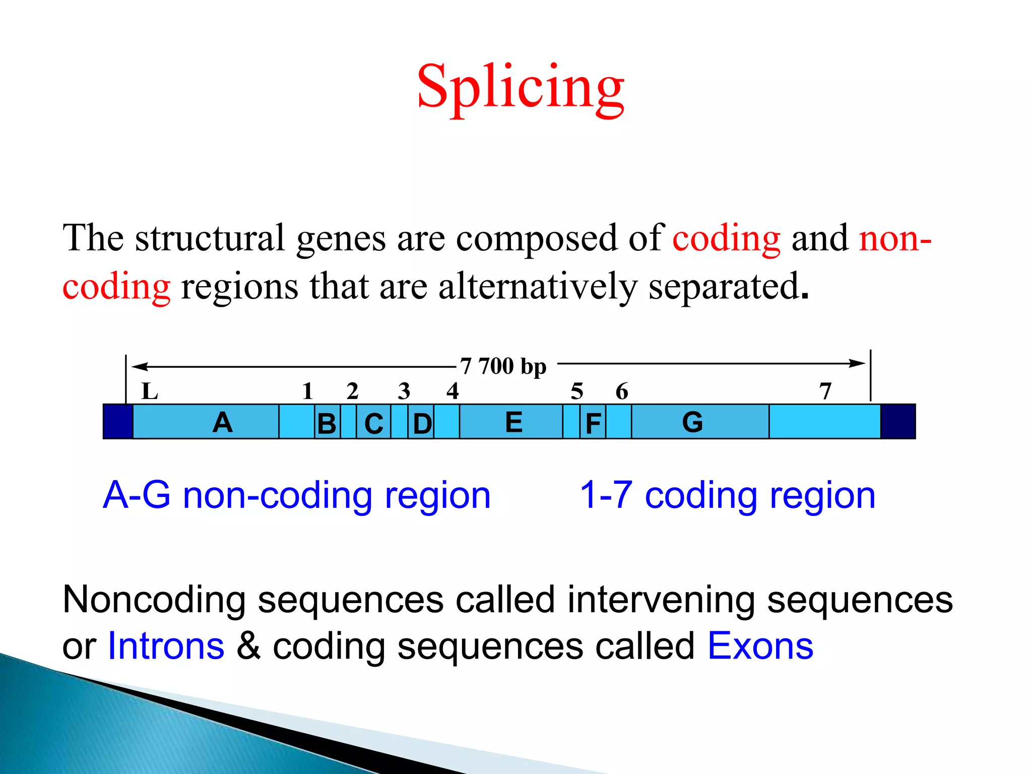 Transcription | PPTX