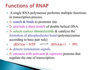 Transcription | PPTX