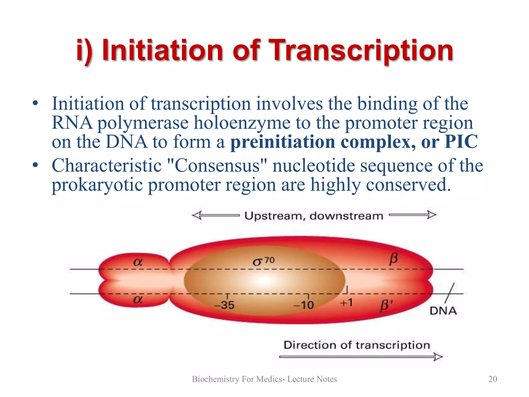 DNA Transcription- Part-1 | PPT