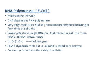 Transcription | PPT | Chemistry | Science