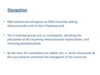 Transcription | PPT