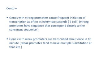 Transcription | PPT | Chemistry | Science