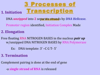 Transcription.translation lecture | PPT