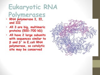 Transcription | PPT
