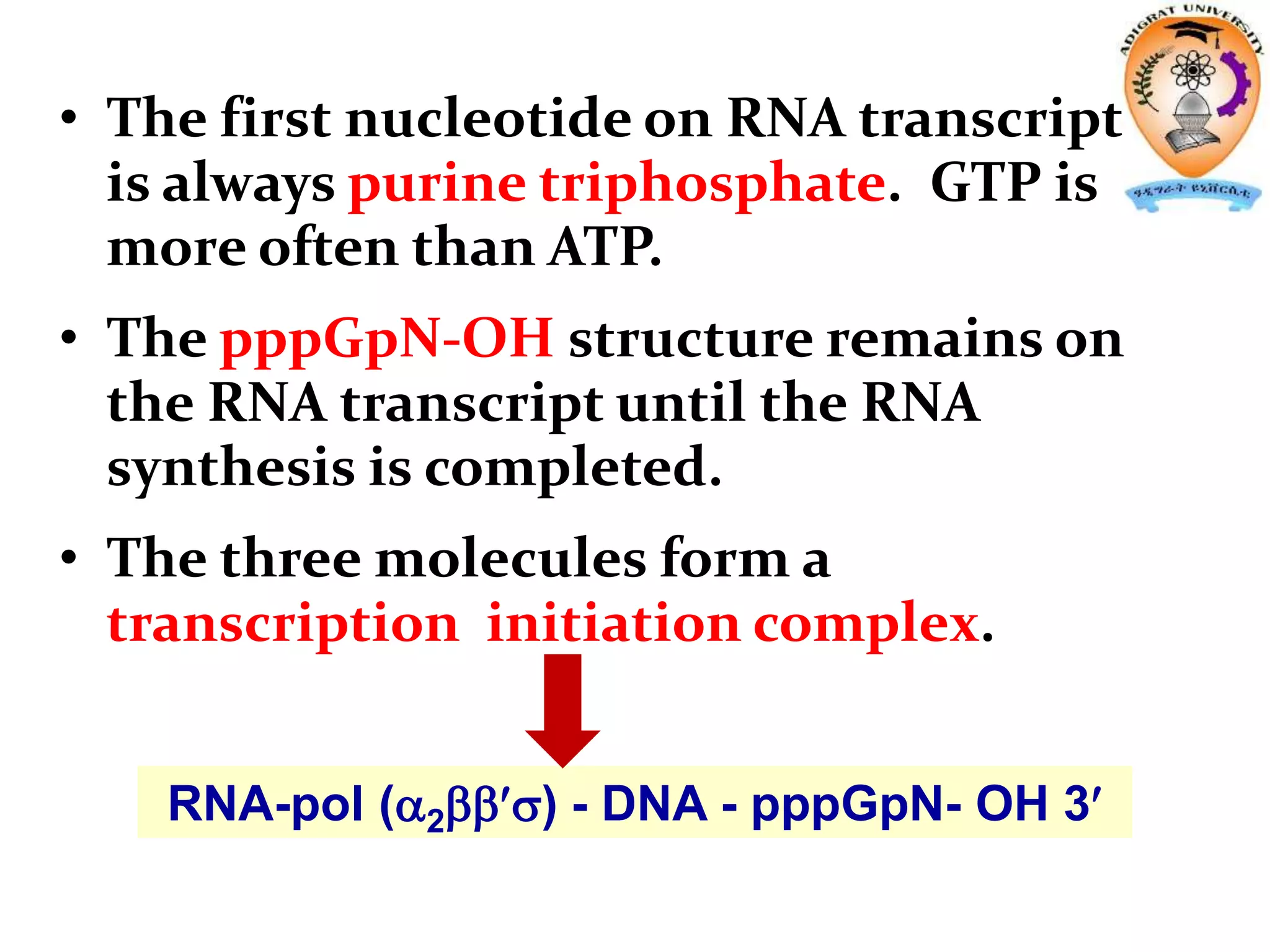 Transcription | PPTX