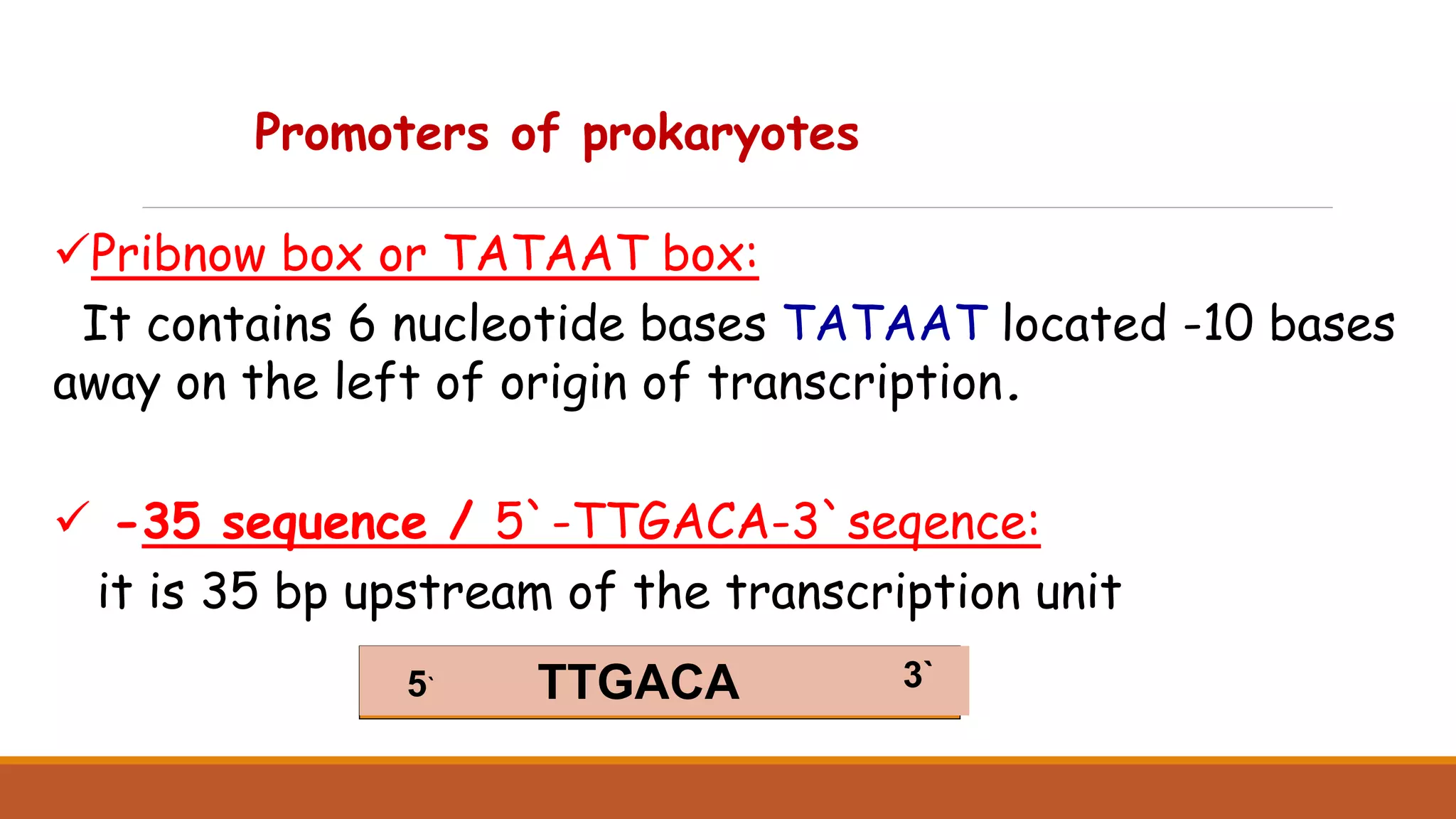 Transcription | PPSX