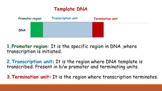 Transcription | PPSX