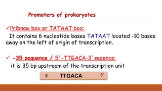 Transcription | PPSX
