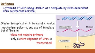 Transcription Definition