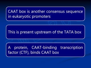 Caat Box