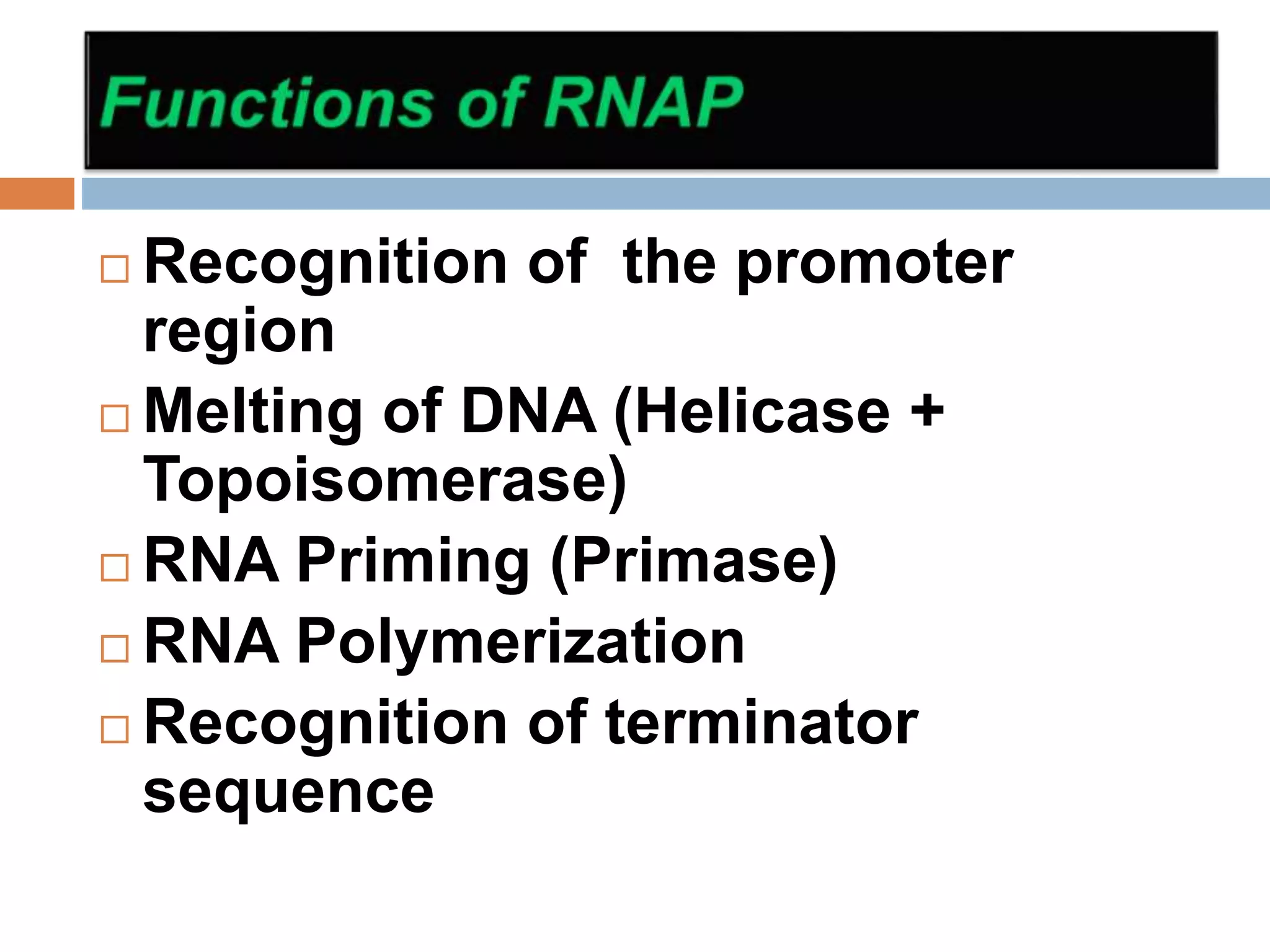 Transcription of DNA | PPTX