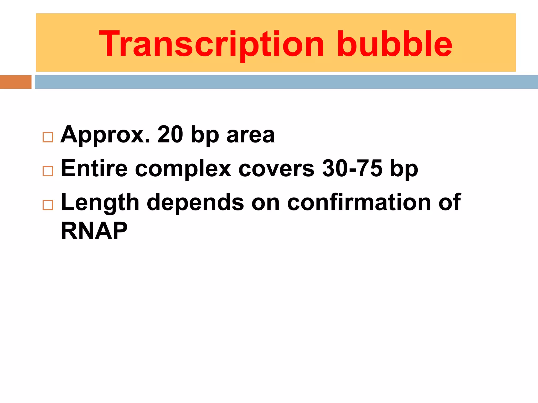 Transcription of DNA | PPTX