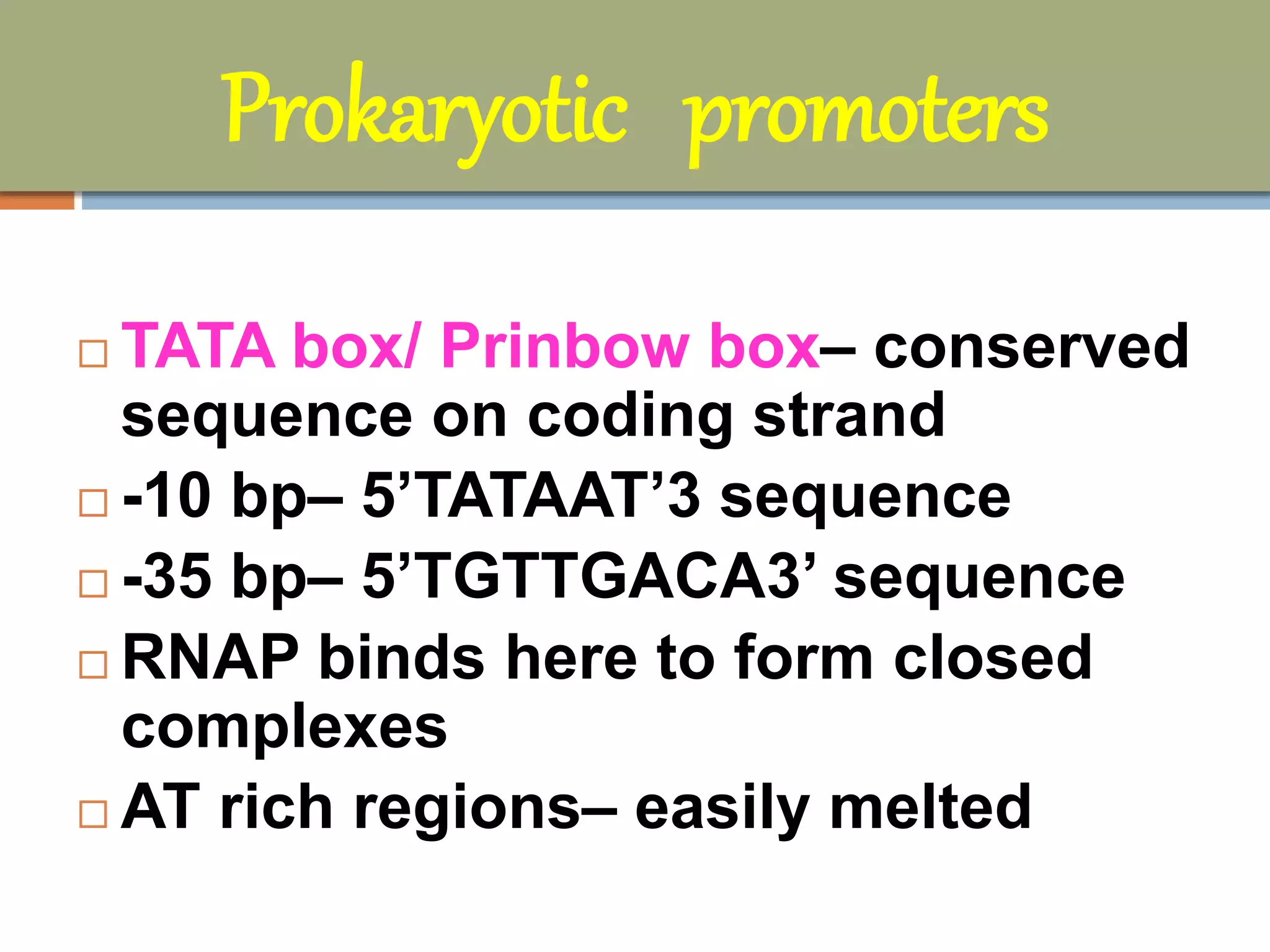 Transcription of DNA | PPTX