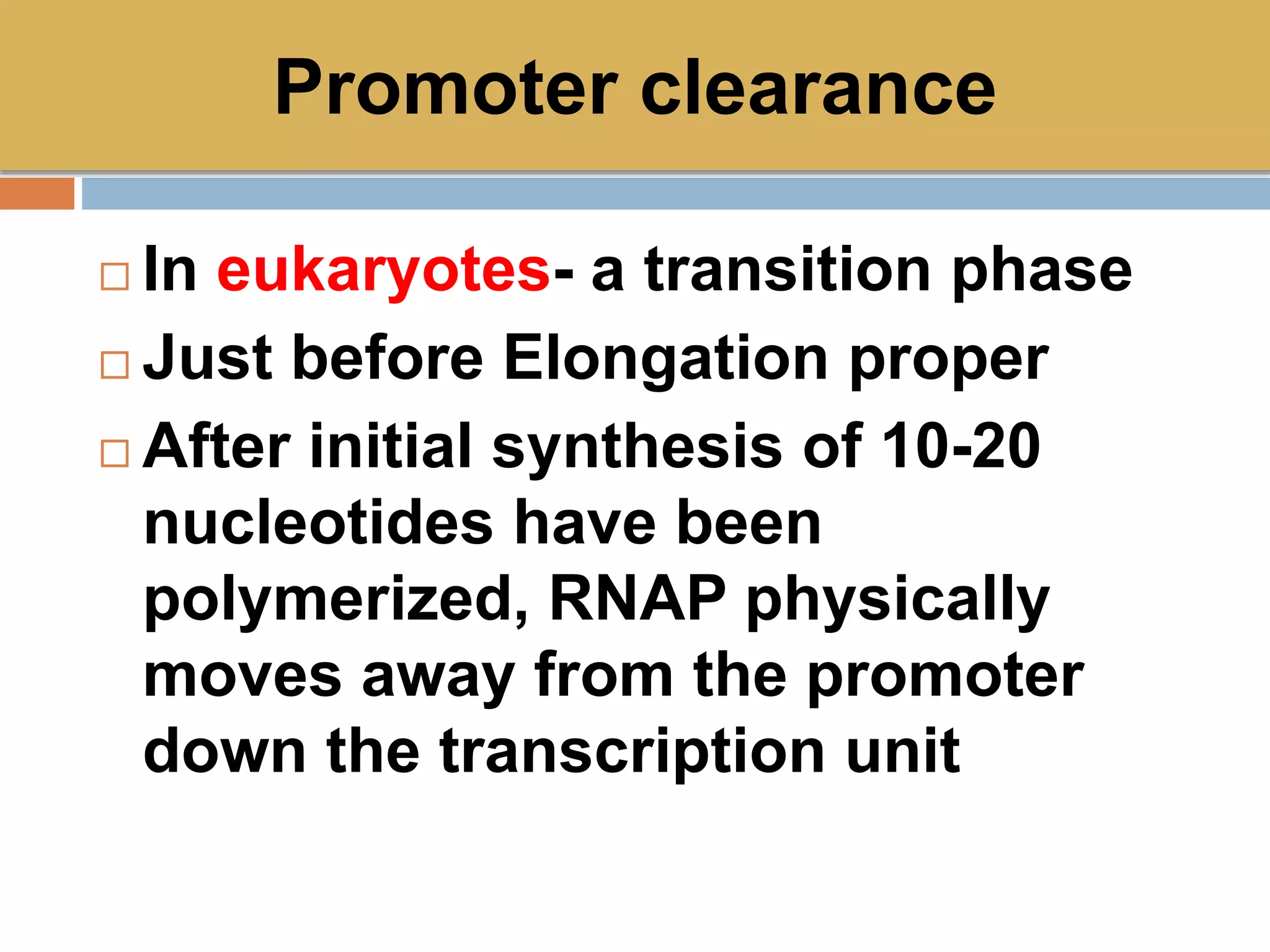 Transcription of DNA | PPTX