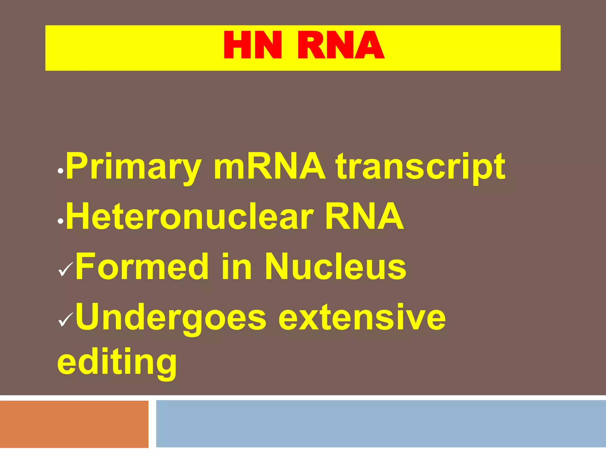 Transcription of DNA | PPTX