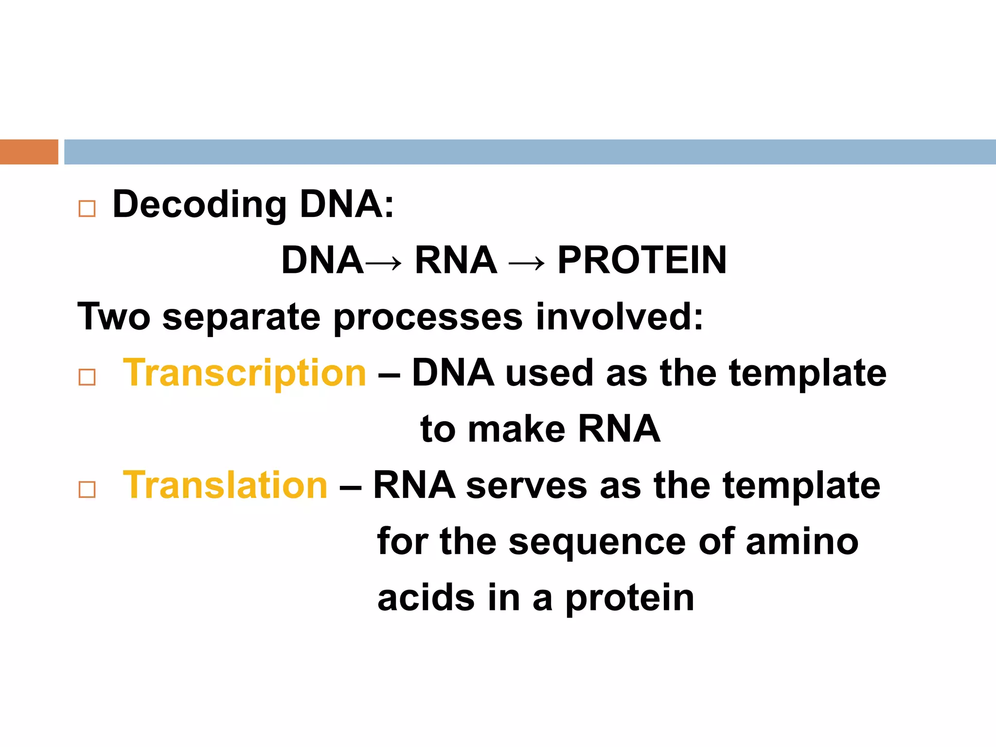 Transcription of DNA | PPTX