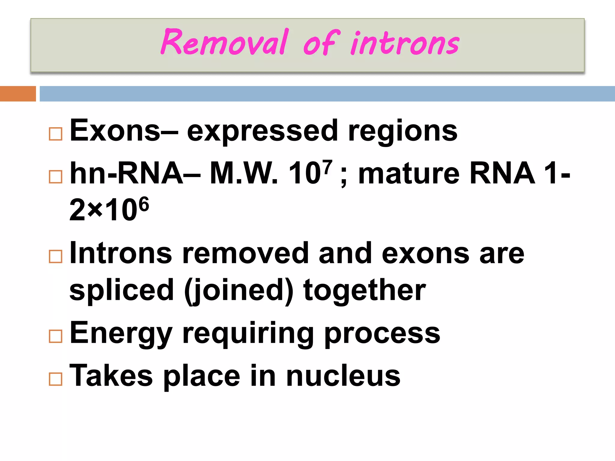 Transcription of DNA | PPTX