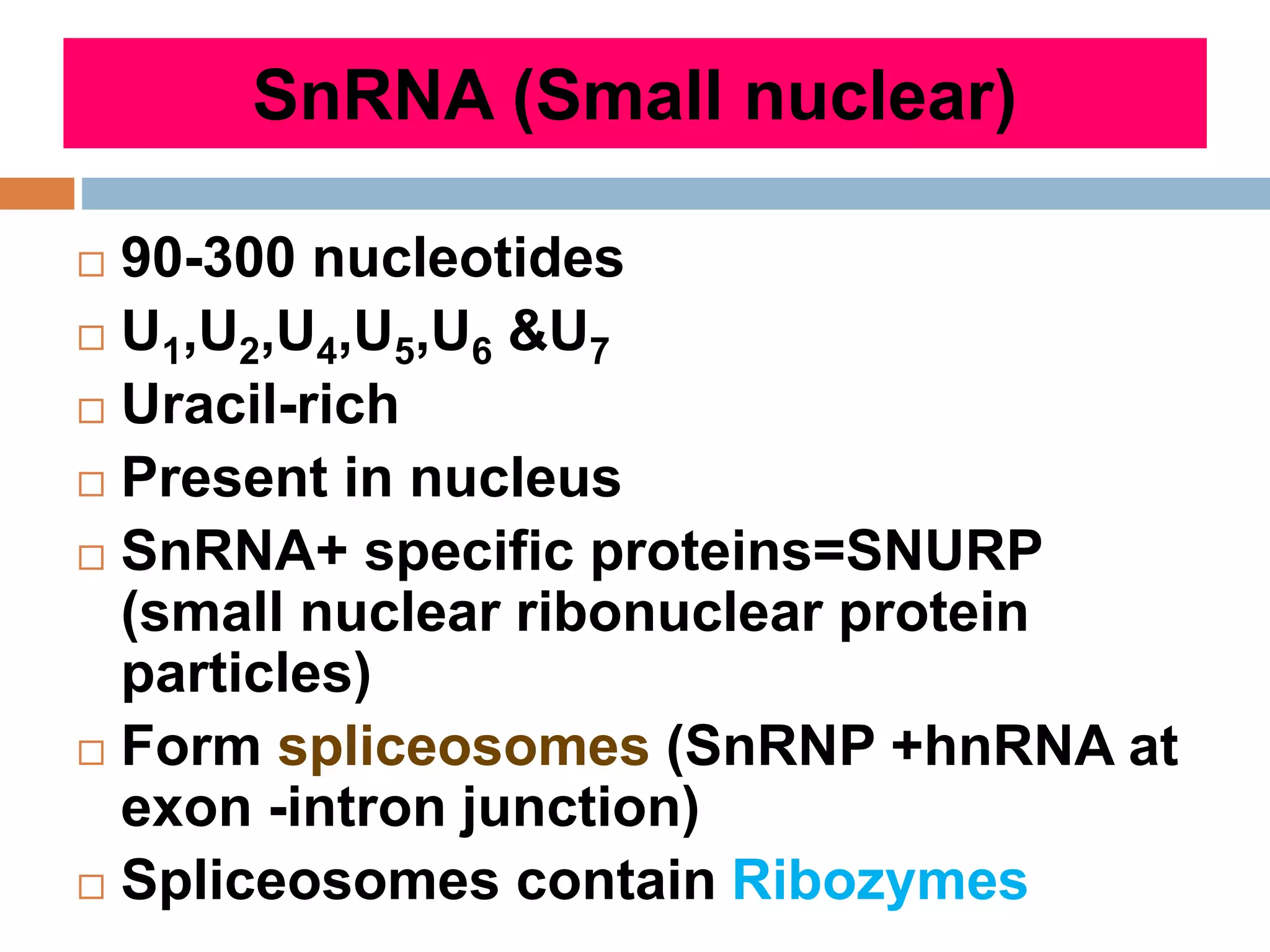 Transcription of DNA | PPTX