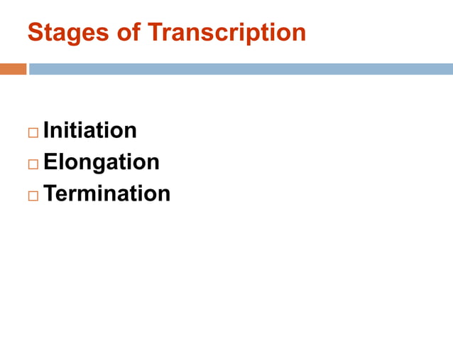Transcription of DNA | PPTX | Programming Languages | Computing