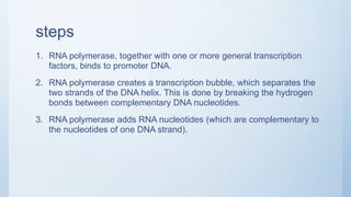 Transcription | PPT | Free Download