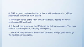 Transcription | PPT | Free Download