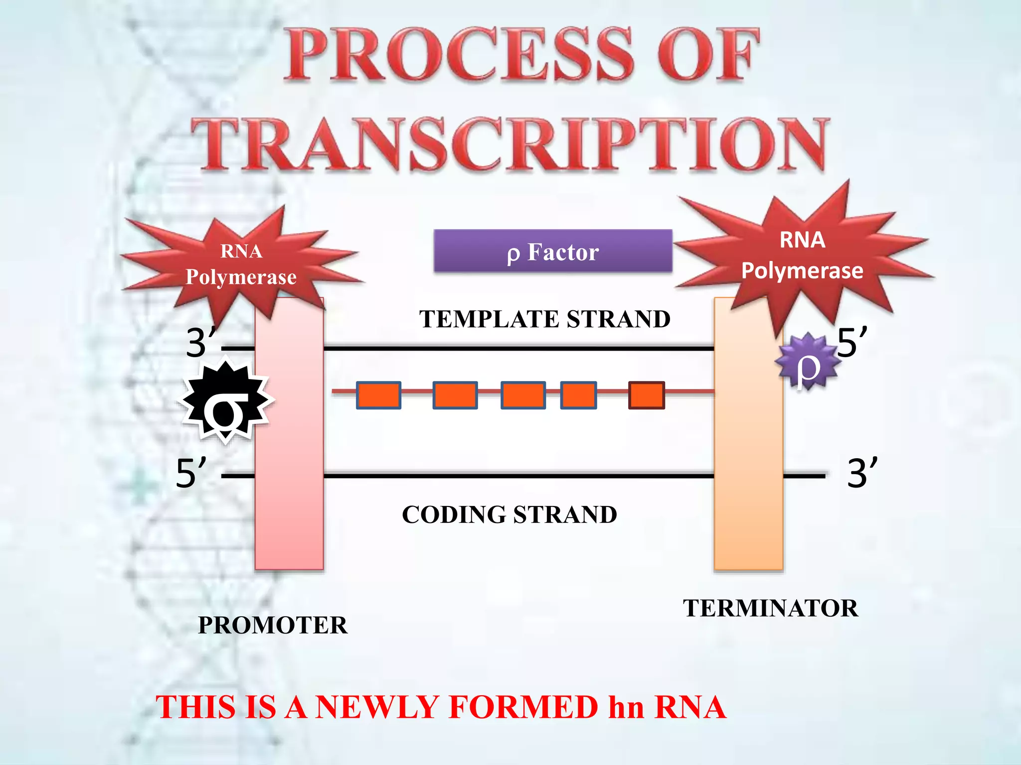 Transcription | PPTX