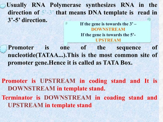 Transcription | PPTX