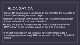 Transcription | PPTX | Biological Sciences | Science