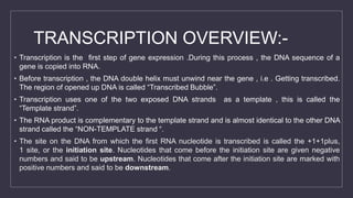 Transcription | PPTX | Biological Sciences | Science