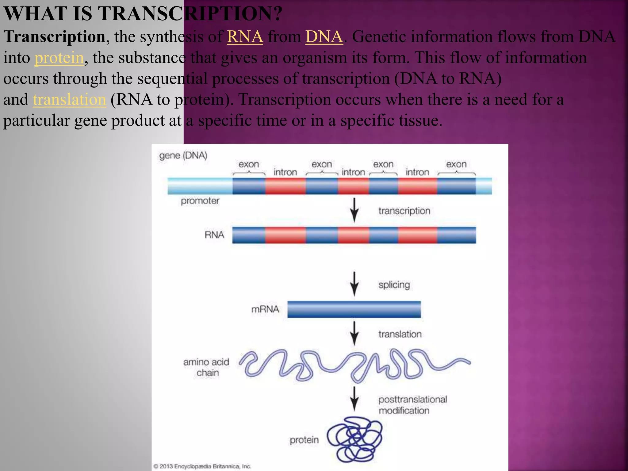 Transcription | PPT