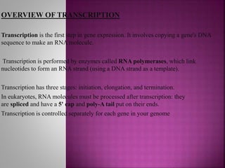 Transcription | PPT