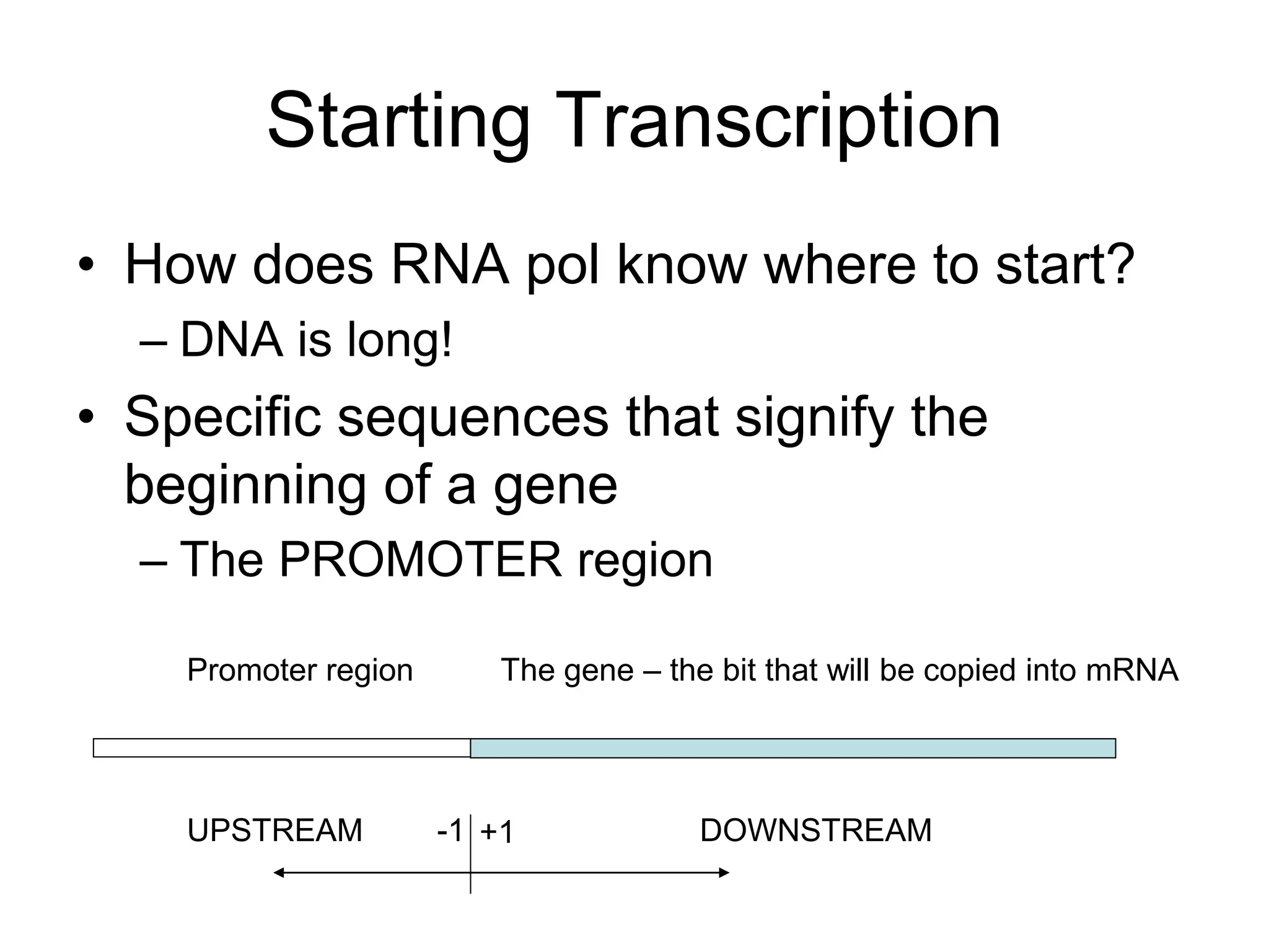 Transcription | PPTX