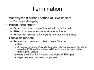 Transcription | PPT