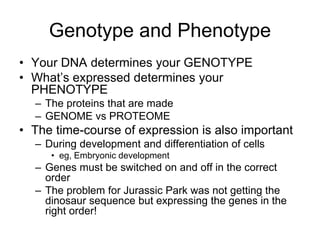 Transcription | PPT