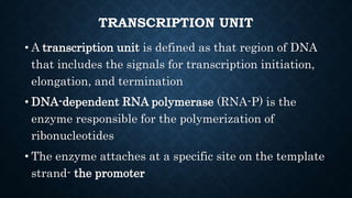 Transcription of RNA | PPTX