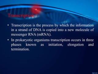TRANSCRIPTION.pptx