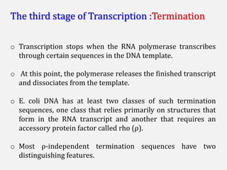 Transcription.ppt