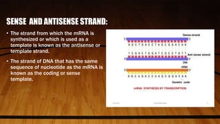 transcription.pptx | Free Download