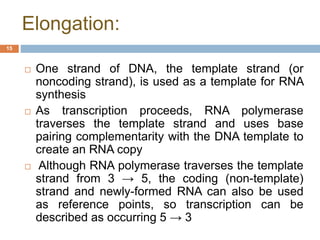 Transcription.pptx