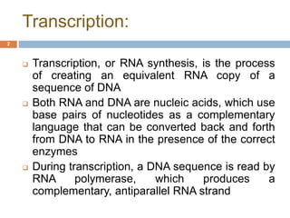 Transcription.pptx