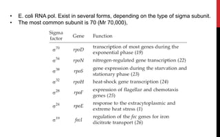 Transcription - DNA dependent RNA synthesis.pptx