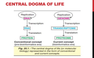 Transcription - DNA dependent RNA synthesis.pptx