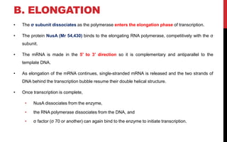Transcription - DNA dependent RNA synthesis.pptx