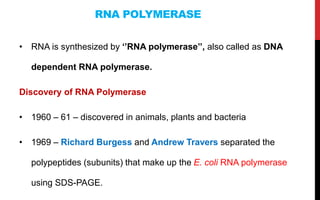 Transcription - DNA dependent RNA synthesis.pptx