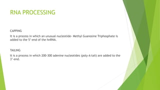 Transcription in living organisms- An overview.pptx