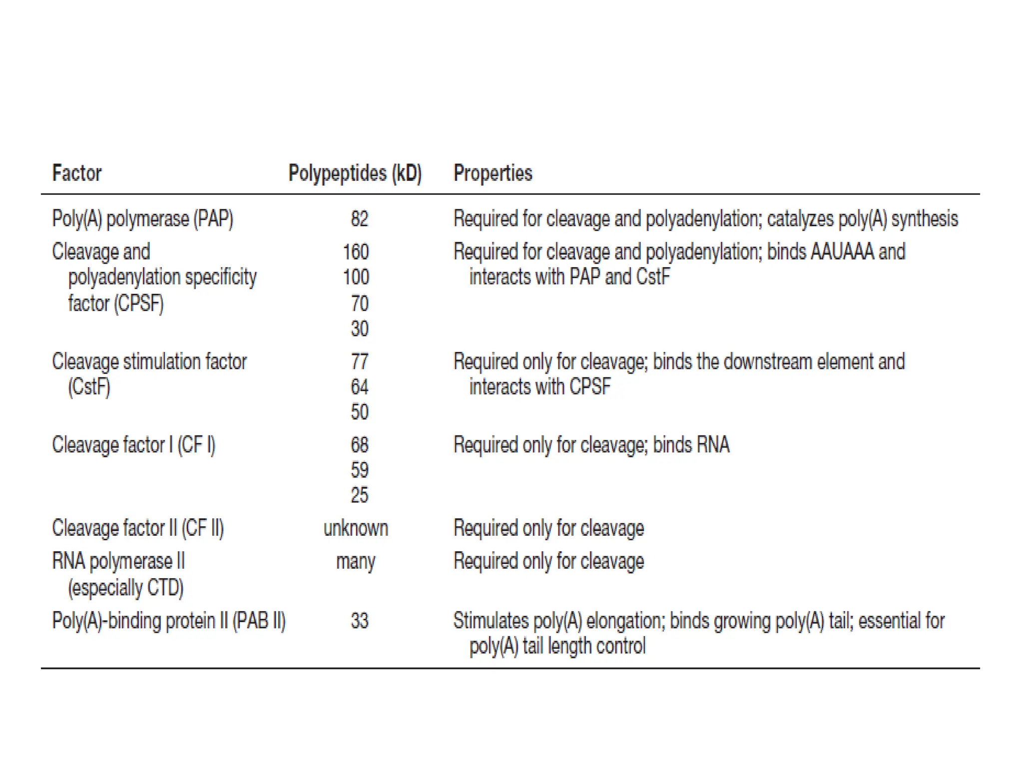 Transcription process explained ppt 1234 | PPT