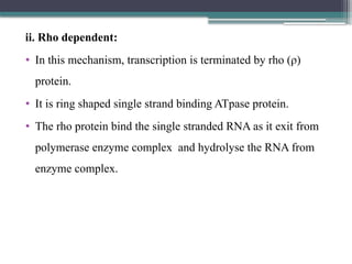 Steps involved in prokaryote Transcription.pptx