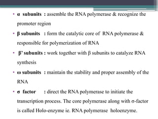 Steps involved in prokaryote Transcription.pptx