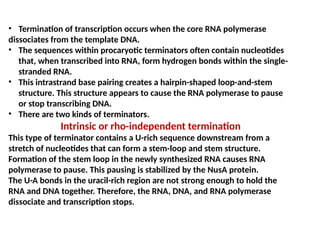 transcription in prokaryotes and eukaryotes | PPTX