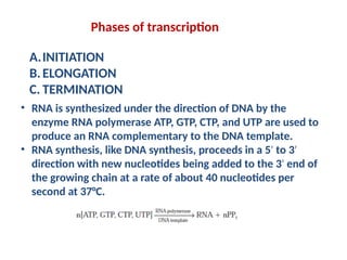transcription in prokaryotes and eukaryotes | PPTX